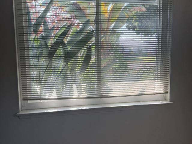 Month to month room for rent shared bathroom