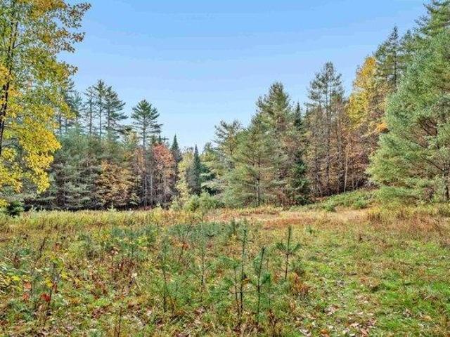 Montpelier VT 05602 104442599