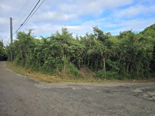 Montpellier Qu, Saint Croix, Plot For Sale