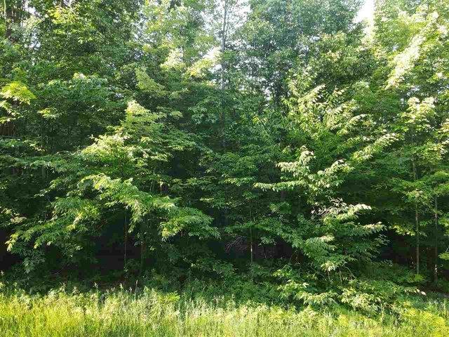 Montrose Dr Lot 97, Mancelona, MI 49659