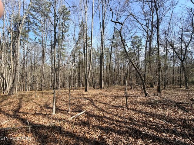 Montview Rd, Lenoir City, TN 37771