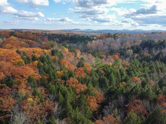 Montville ME 04941 103037380