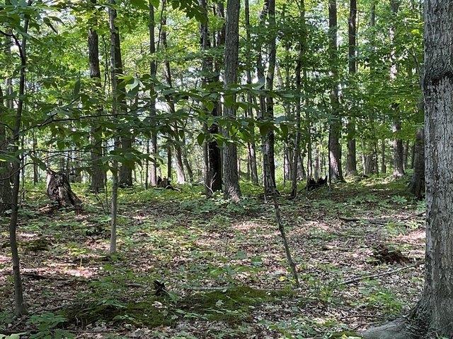 Monument Bluff Pass, Sturgeon Bay, WI 54235