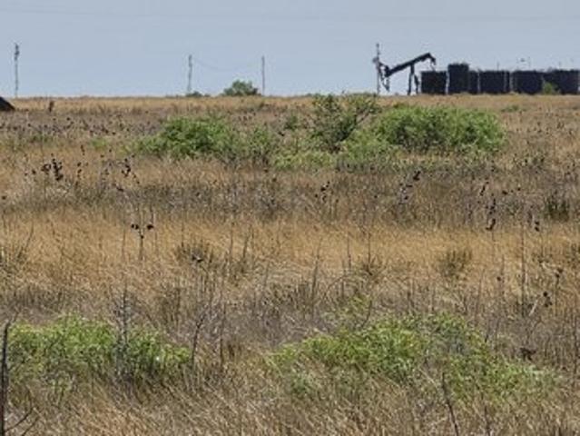 Monaco Rd, Levelland, TX 79336