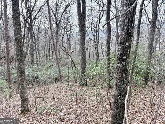 Monarch Ln, Clayton, GA 30525