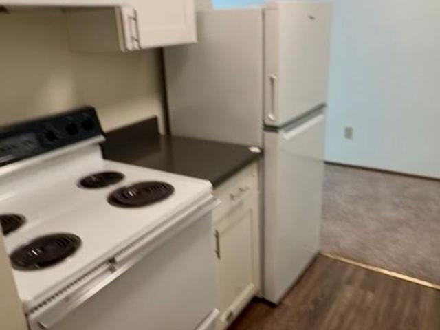 Mondrian Apartments 1 Bedroom Apartment for Rent at 5017 15th Ave Ne, Seattle, WA 98105 University District