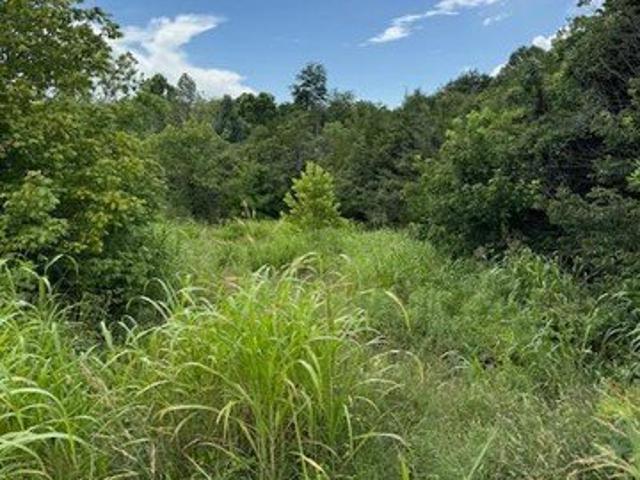 Moneta Rd, Bedford, VA 24523