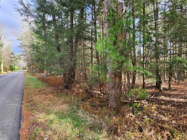 Mongaup Rd, Monticello, NY 12701