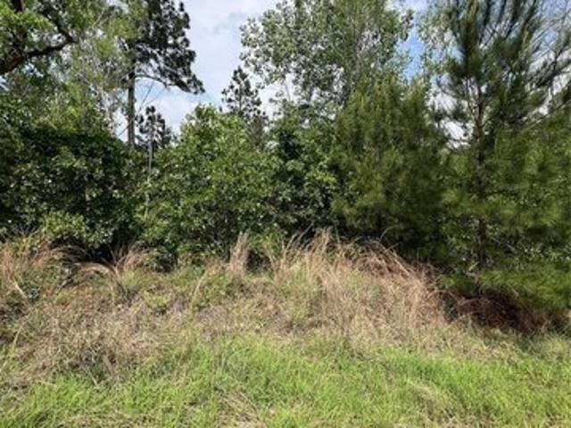 Monku Ct, Bastrop, TX 78602