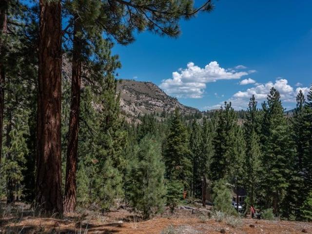 Mono Dr Lot 23, June Lake, CA 93529