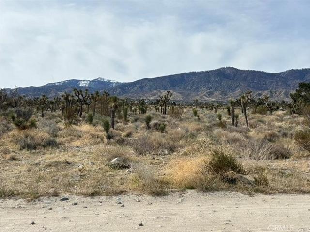 Mono Rd, Pinon Hills, CA 92372