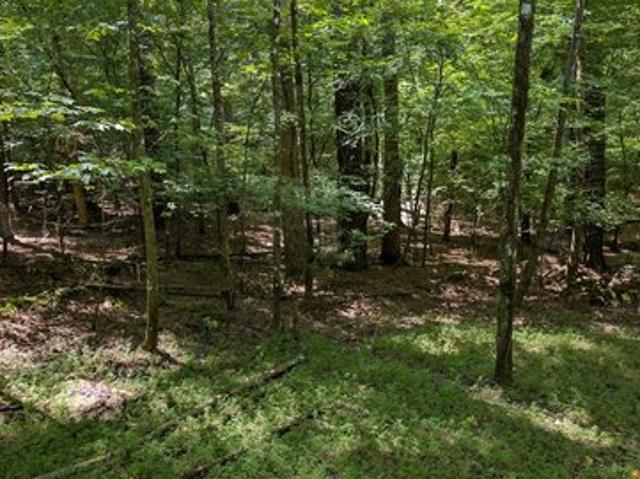 Monocle Dr Lot 3079, Ellijay, GA 30540