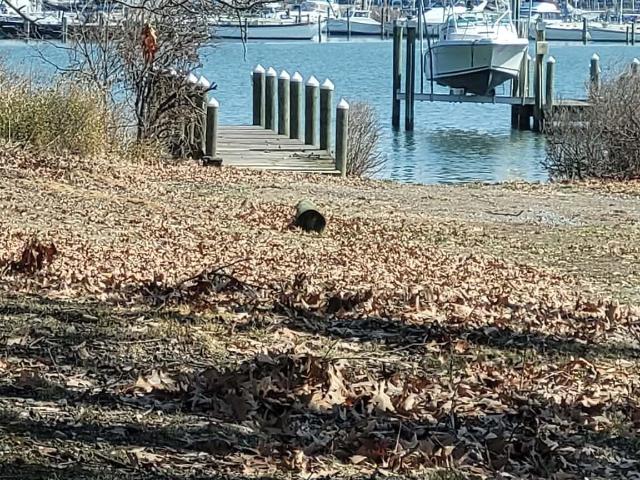 Monroe bay cir
