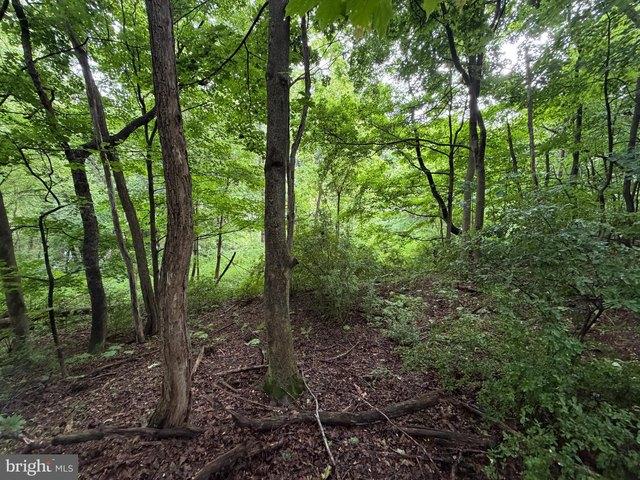 Monroe St, Everett, PA 15537