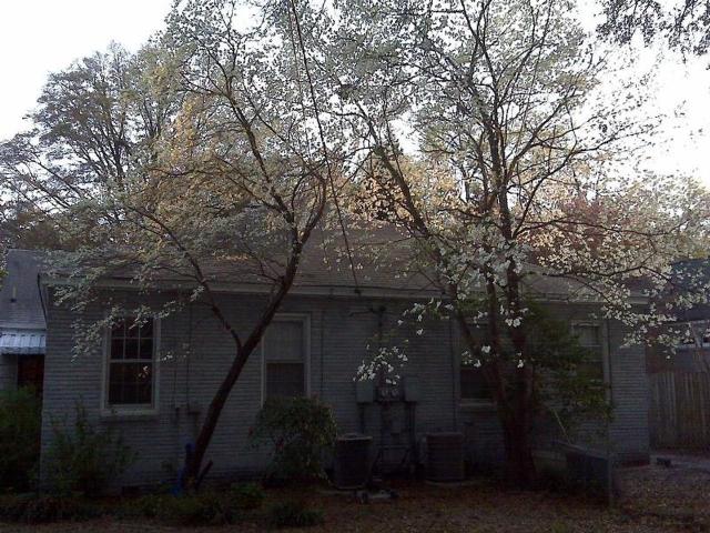 Monroe Street 2429 2431 2 Bedroom Apartment for Rent at 2429 Monroe St, Columbia, SC 29205 Shandon