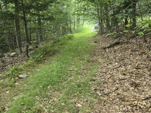 Monroe Rd, Florida, MA 01247
