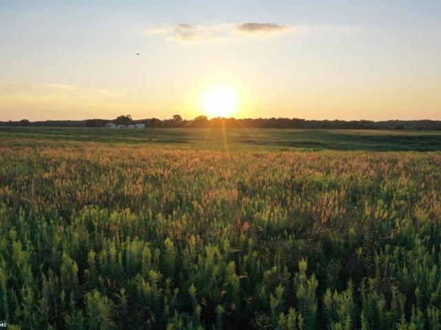 Monroe Wapello Rd, Blakesburg, IA 52536