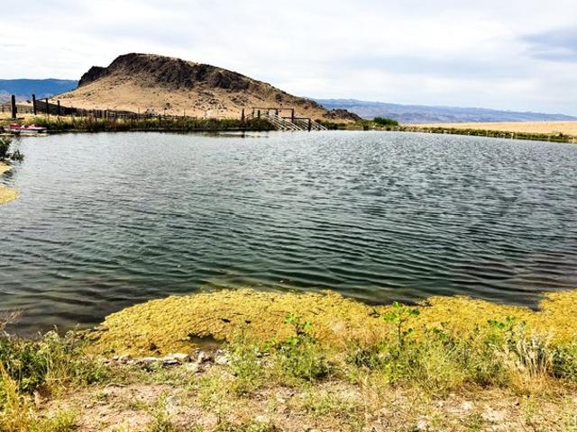 Monroe, UT 84754