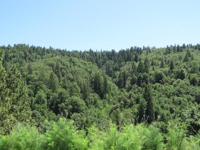 Moody Ridge Rd, Alta, CA 95701