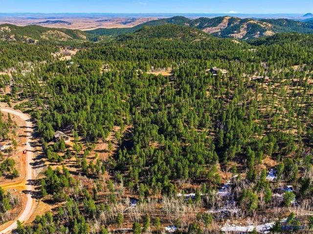Moon Shadow Ct Lot 51, Lead, SD 57754