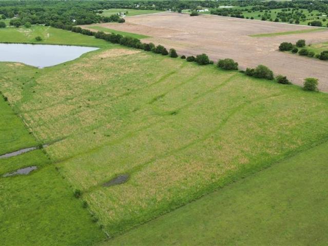 Moonlight 40+/ Acres Road