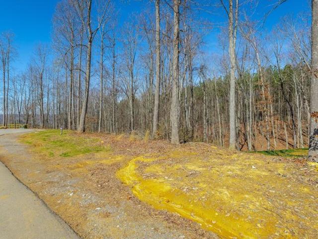 Moonlight Ln Lot JF437, Jasper, TN 37347