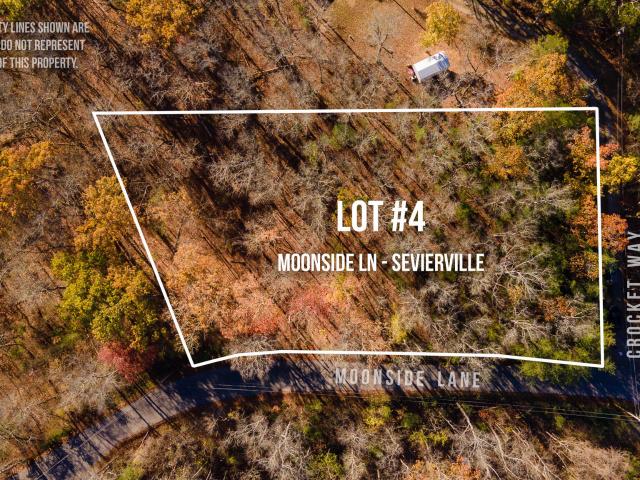 Moonside Lane, Sevierville, TN 37876