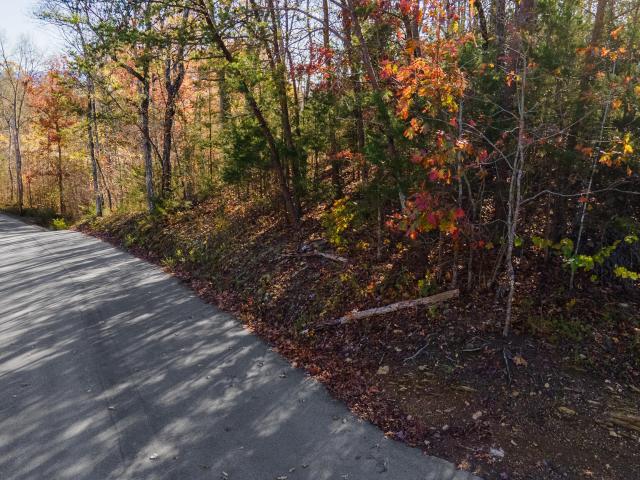 Moonside Ln, Sevierville, TN 37876 | MLS #1331