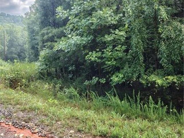 Moonview, Cana, VA 24317