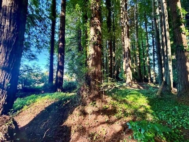 Moore Ave, Eureka, CA 95501