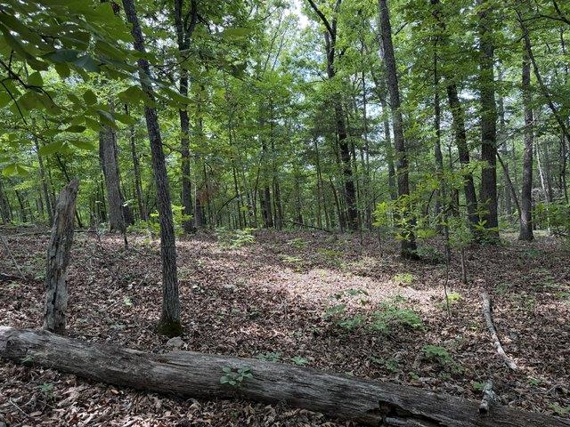 Moore Bend Rd, Cedarcreek, MO 65627