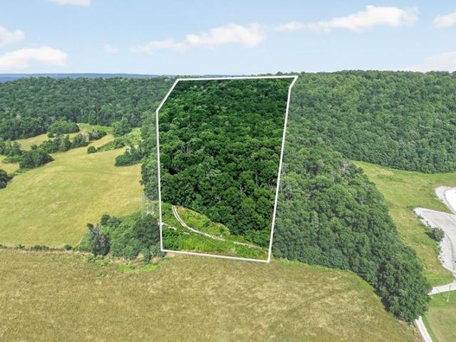 Moore Cove Rd, Quebeck, TN 38579