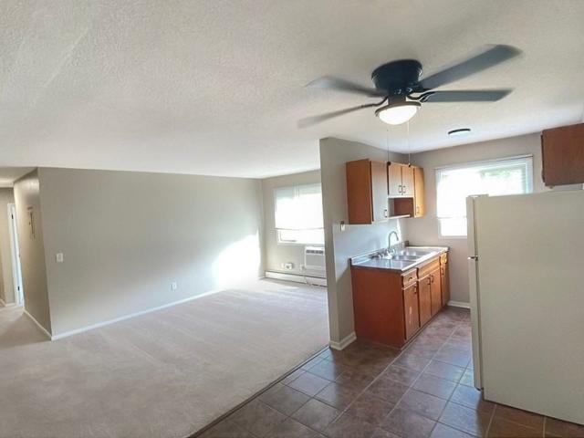 Moore Lake 2 Bedroom Apartment for Rent at 995 995 Lynde Drive & 5701 Central Avenue, Fridley, MN 55432