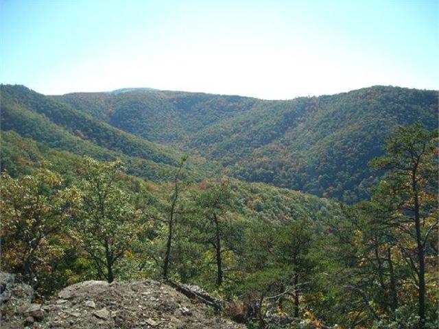 Moorefield, WV Hardy Country Land 237.000000 acre for sale in Moorefield, West Virginia