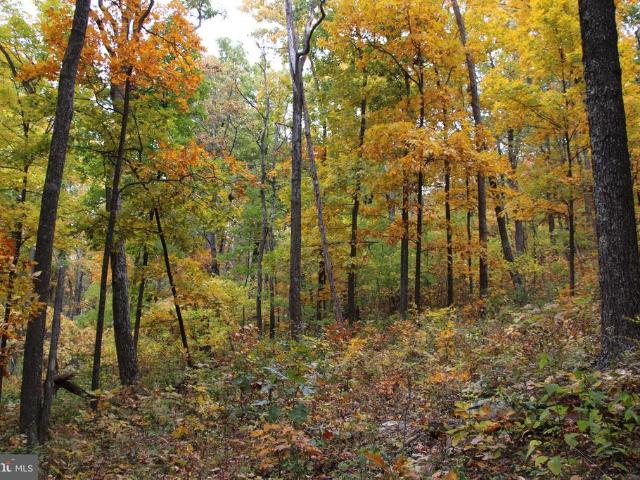 Moorehead Road