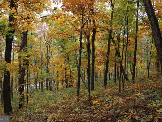 Moorehead Rd, Gore, VA 22637