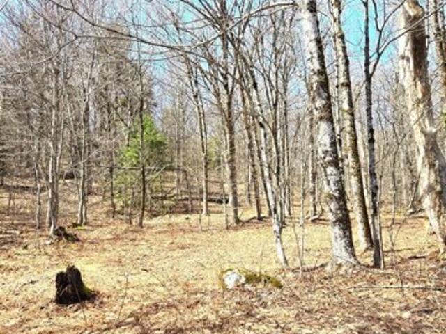 Moores Rd, Florida, Plot For Sale