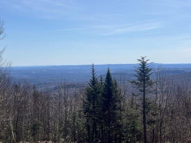 Moose Alley Rd, Temple, Plot For Sale
