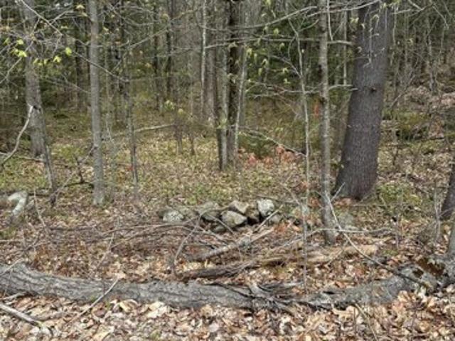 Moose Hill Rd Lot,livermore Falls, Plot For Sale
