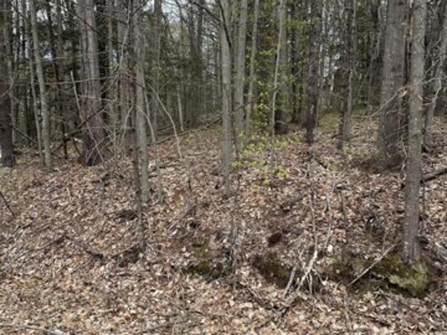 Moose Hill Rd Lot,livermore Falls, Plot For Sale