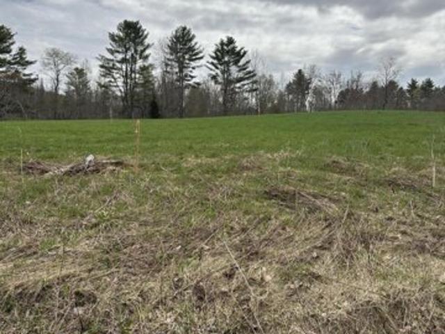 Moose Hill Rd Lot,livermore Falls, Plot For Sale