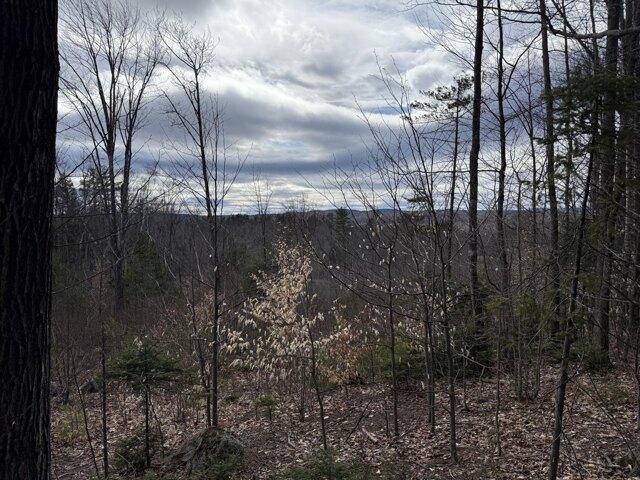 Moose Hill Rd Lot,livermore Falls, Plot For Sale