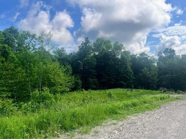 Moose Hollow Rd, Winhall, Plot For Sale