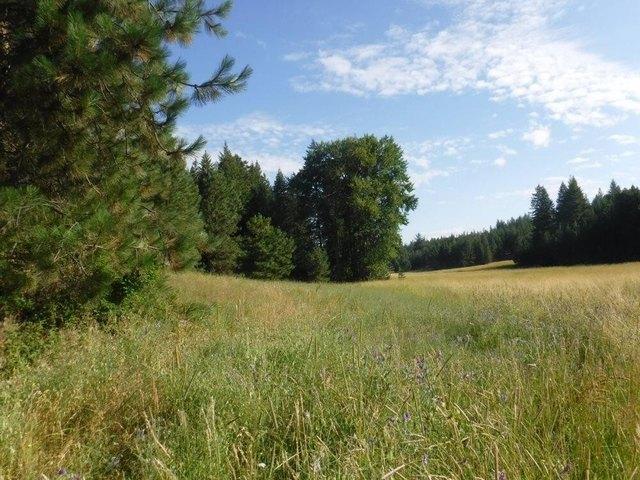 Moose Ridge Way Lot 1, Loon Lake, WA 99148