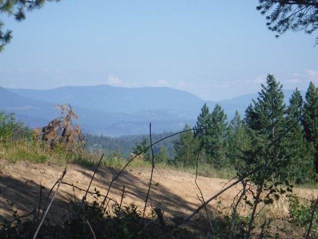 Moose Ridge Way Lot 3, Loon Lake, WA 99148