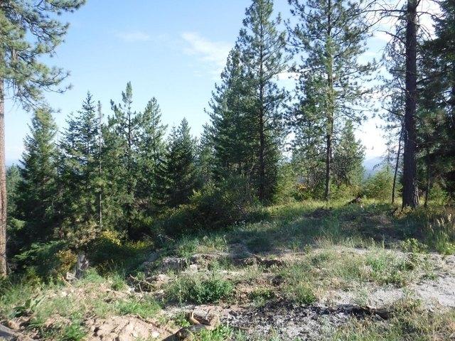 Moose Ridge Way Lot 5, Loon Lake, WA 99148