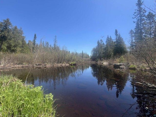 Moose Ridge Rd, Isabella, MN 55607