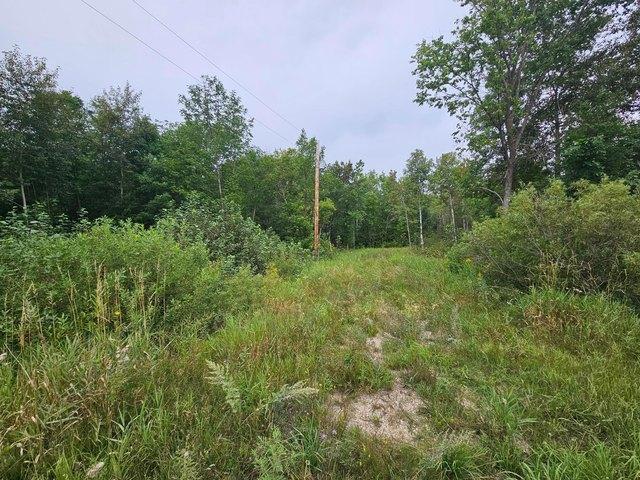 Moose River Rd E, Grygla, MN 56727
