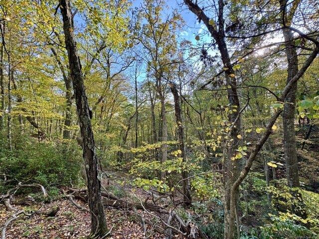 Moosehorn Rd, Roxbury, Plot For Sale