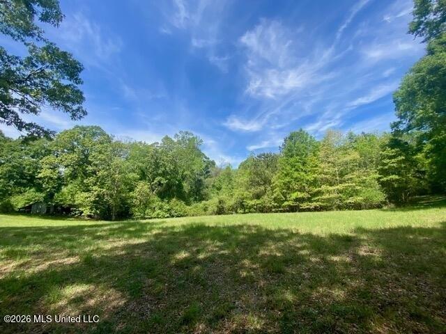 Moaks Creek Rd, Summit, MS 39666